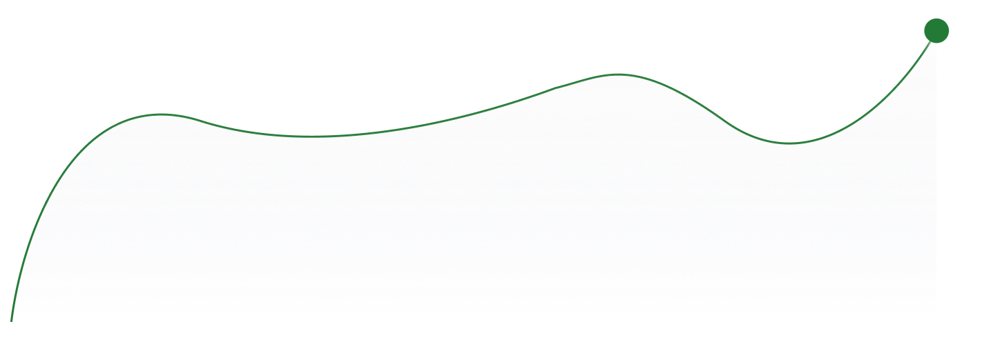 Tarantula - Software Development Company